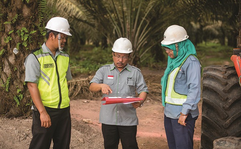 Palm Oil News - Cargill Tropical Palm Strives to Create an Equal and ...